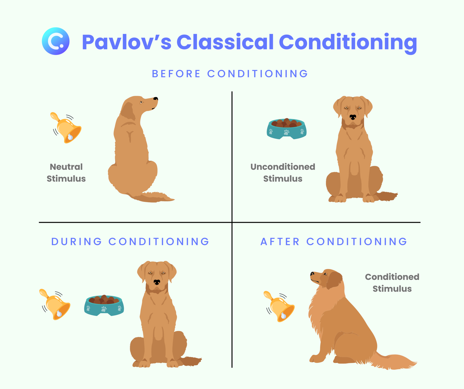 Behavioral Learning Theory Strategies For Perfect Behaviors | ClassPoint