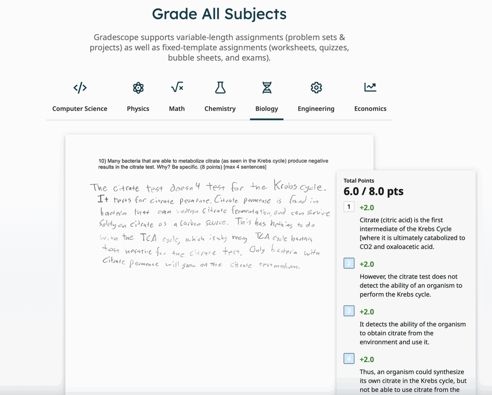8 Best AI Tools For Teachers That Will Save You Time In 2024 (Updated ...