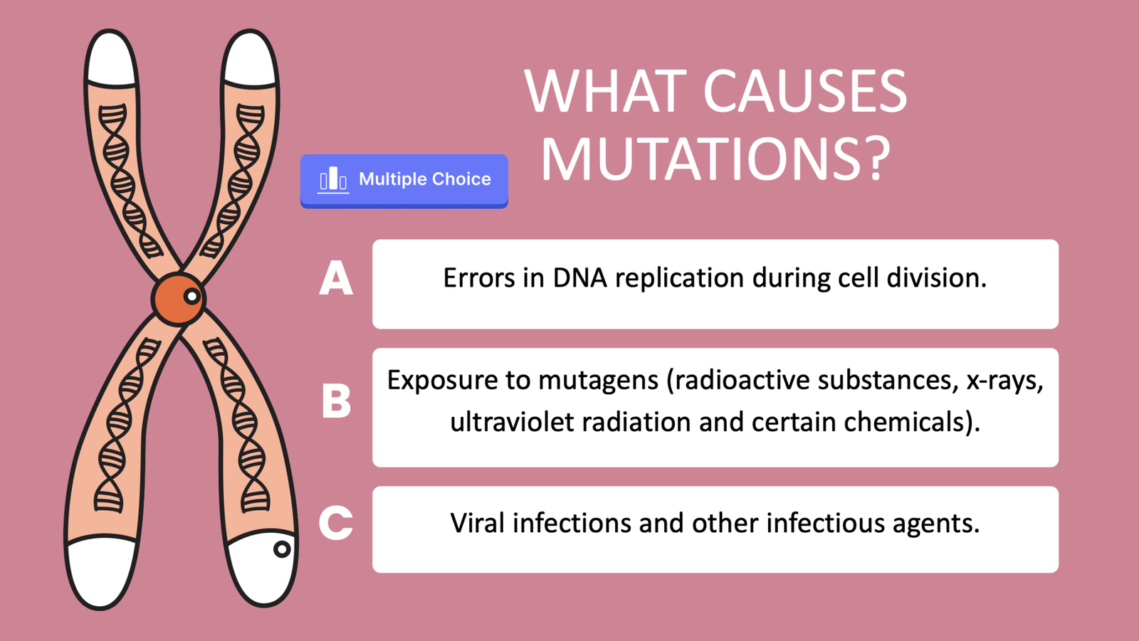 5 Cool Science Formative Assessment Examples (+ Template) | ClassPoint
