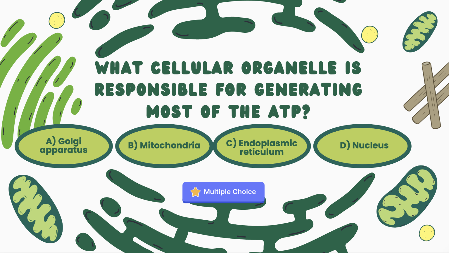 5 Cool Science Formative Assessment Examples (+ Template) | ClassPoint