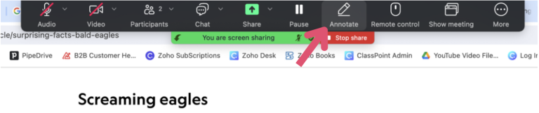 How To Annotate On Zoom: Tips For Interactive Meetings | ClassPoint