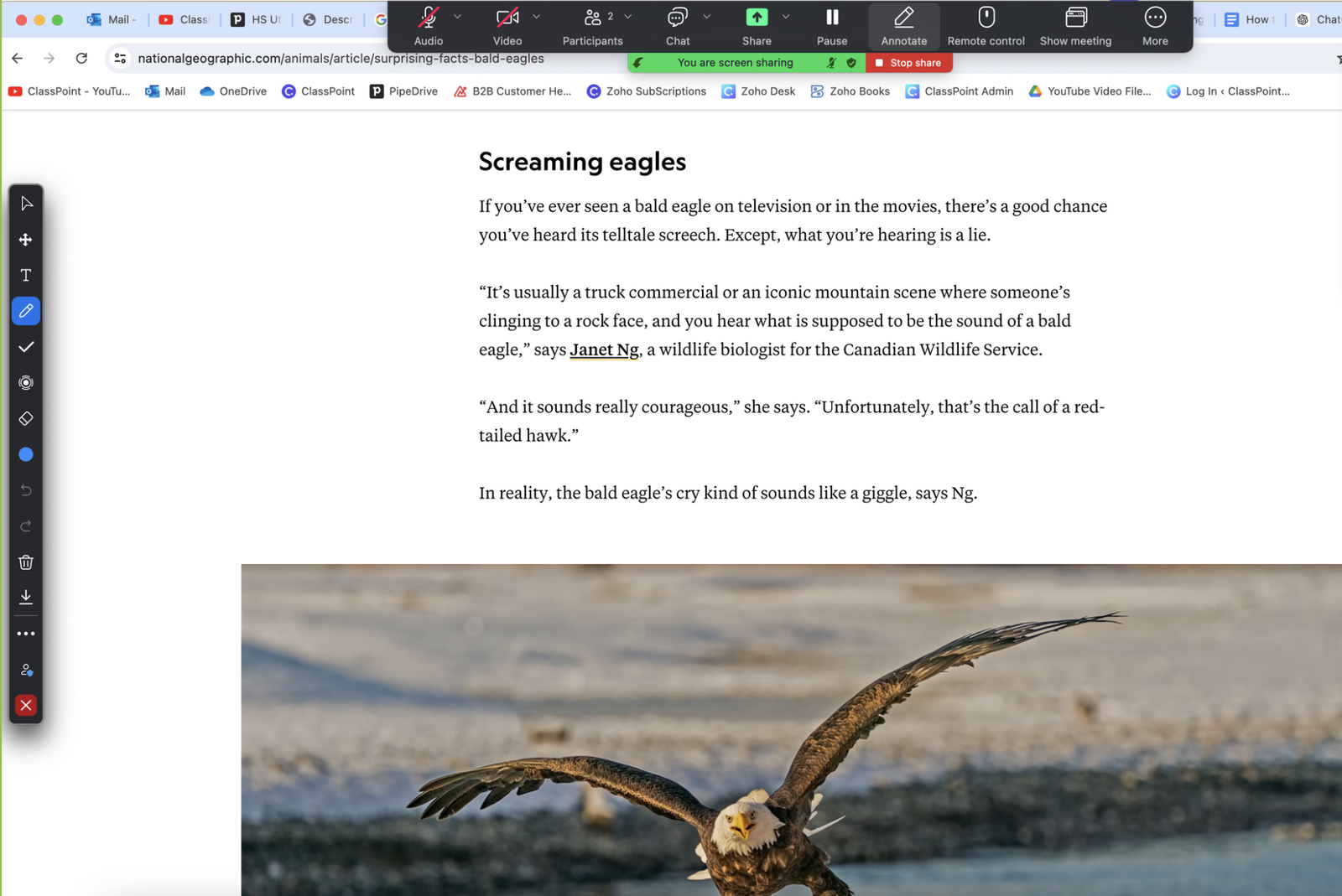How To Annotate On Zoom: Tips For Interactive Meetings | ClassPoint