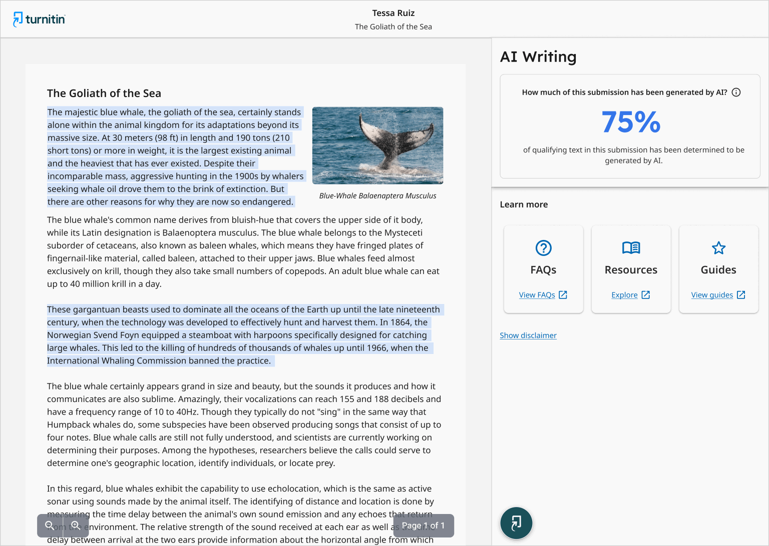 9 Best Free AI Detectors Recommended By Teachers | ClassPoint