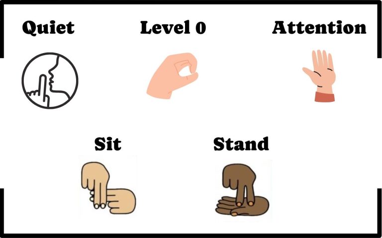 13 Essential Classroom Hand Signals You And Your Students Need For ...