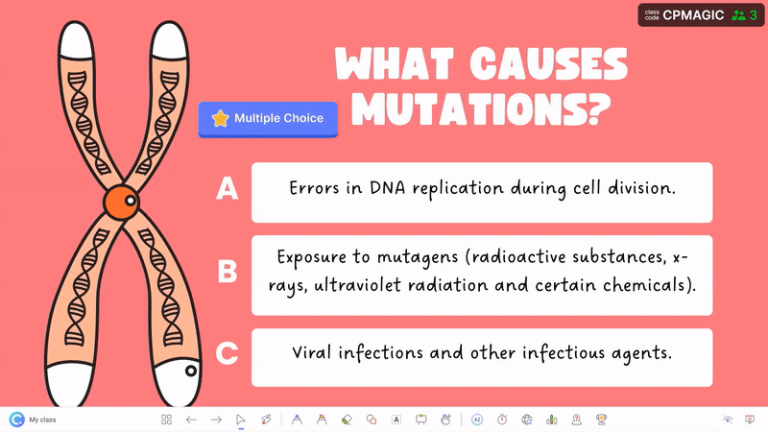 15 Types Of Comprehension Questions (With Examples) | ClassPoint